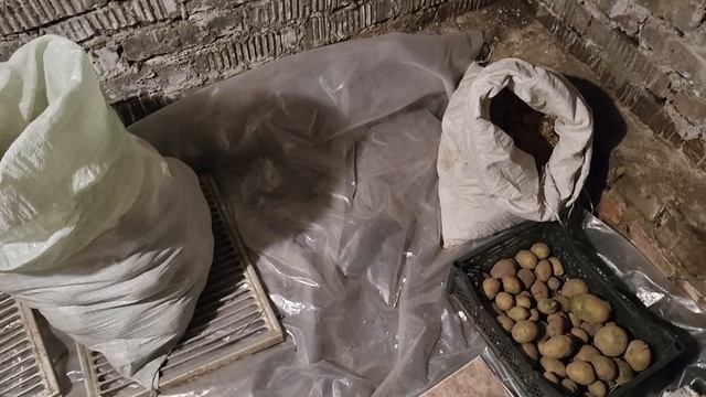 Репортаж из подвала после морозов