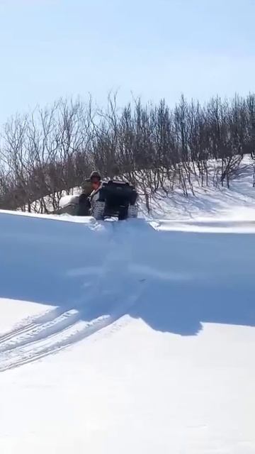 РОСТИН ЗА ПОЛЯРНЫМ КРУГОМ ❄📍
