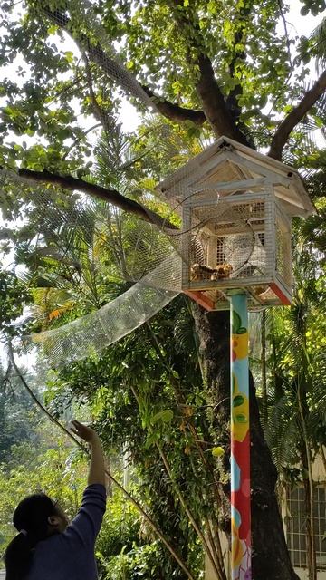 Китай. Город Гуанчжоу. Милота!