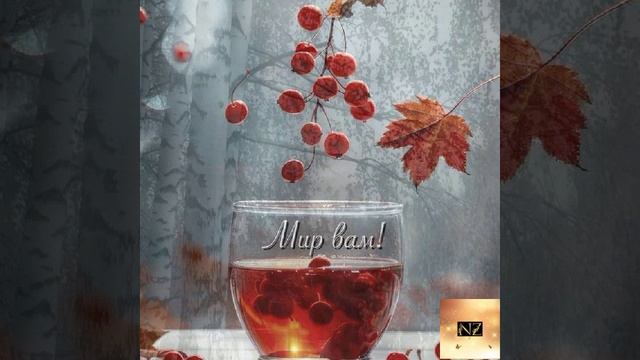 Стас Михайлов "Листопады"1000376582.mp4