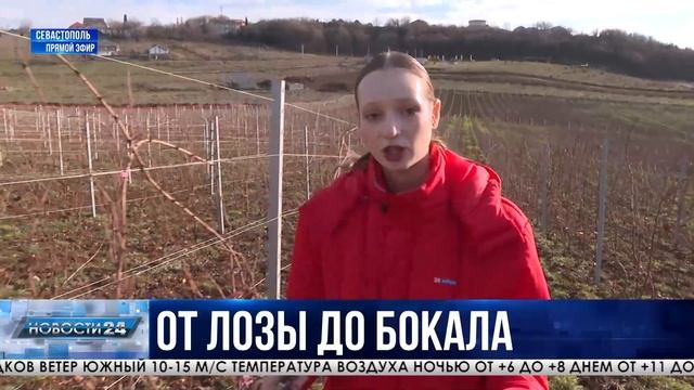 Для развития отрасли. Как государство поддерживает молодых агрономов?