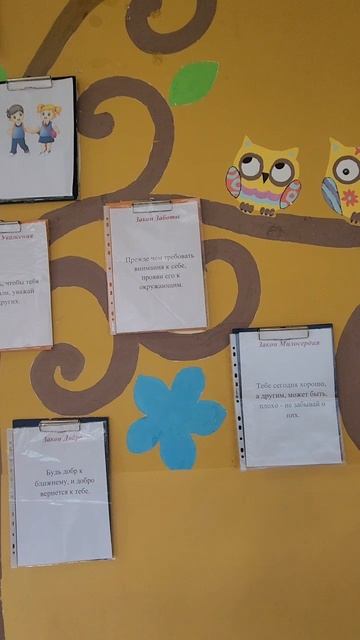 Милое видео 22.09.2025г