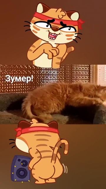 Мейн кун красный, мальчик Зумер 1 месяц, день рождения 03.12.2026