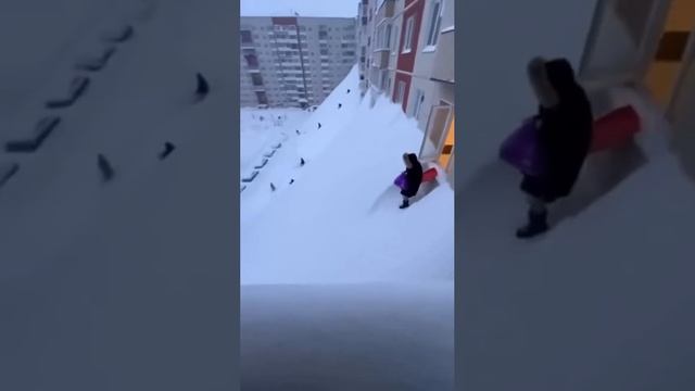 Снежная Камчатка (почти фейк)