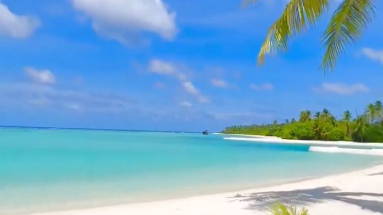 Вперёд в Будущее_ Путешественники во Времени