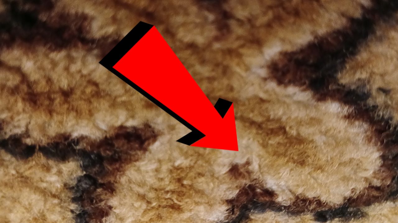 Как почистить ковёр за 3 минуты!!!!!!!!