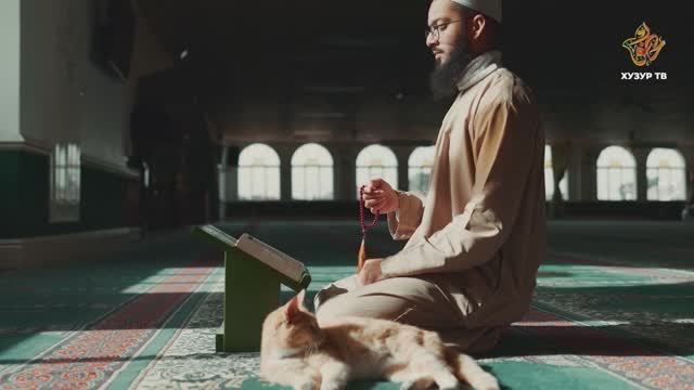 Как появился закят? | Закят