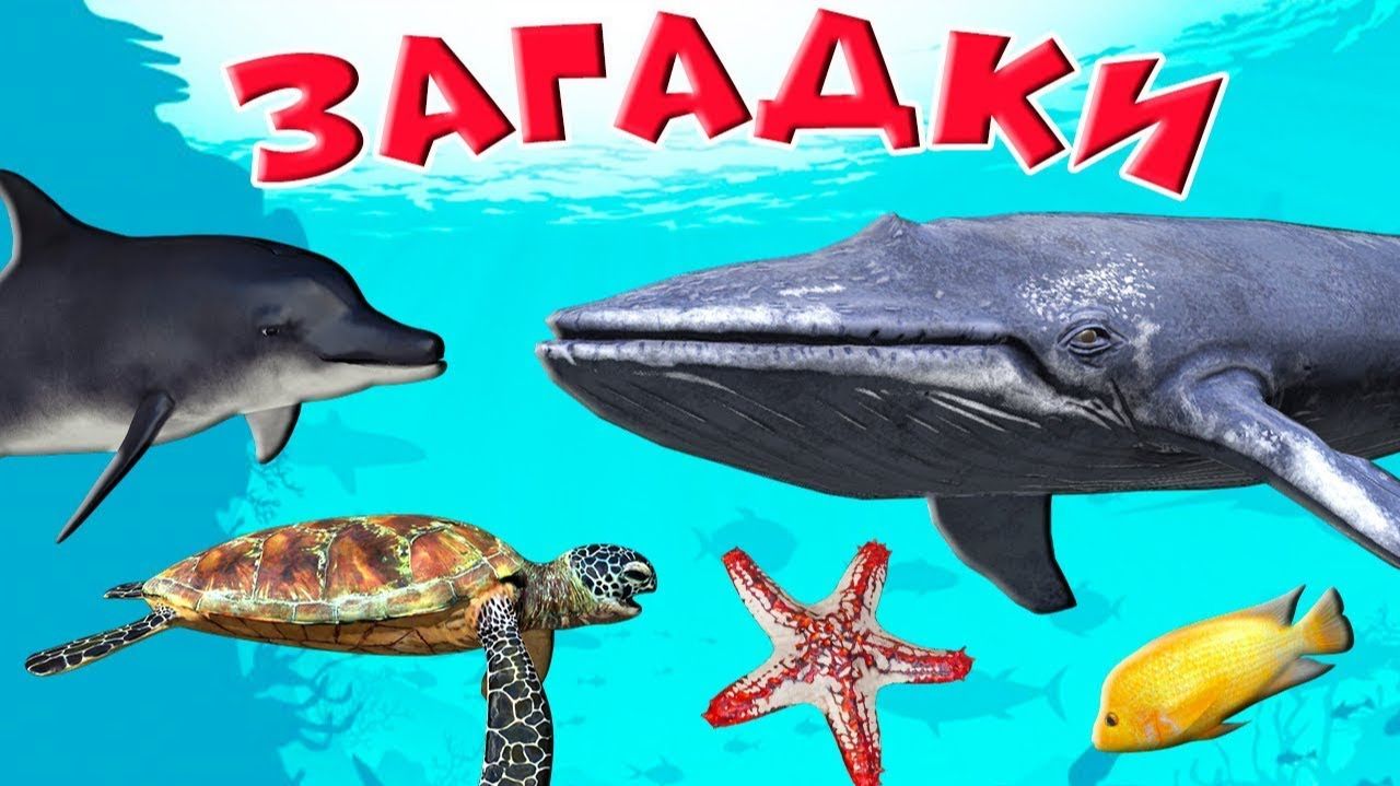 Загадки морские обитатели 🦈Для детей загадки 🦀