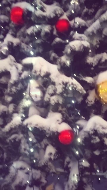 ЗИМНЯЯ СКАЗКА, Песни Маргариты Майской