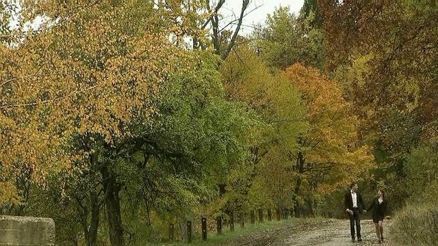 Валерий Плесеинов - Осень снова в городе