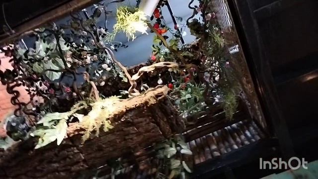 Вьетнамский кофе с розами. Лучшая кофейня в Нячанге (Вьетнам)