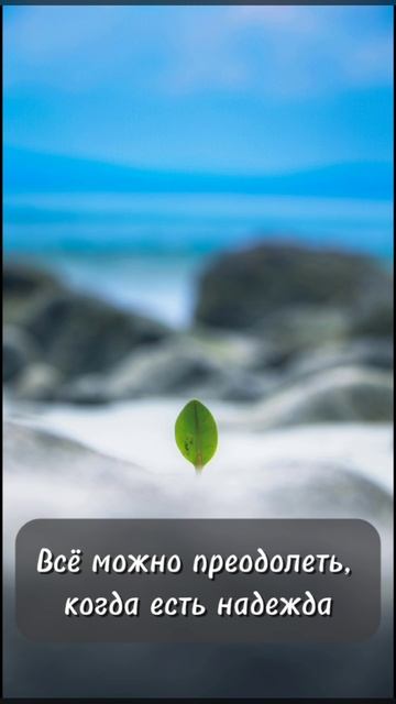 Милое видео 08.09.2025г