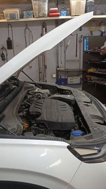 Хендай Санта Фе - отключение мочевины в Перми.