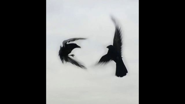 кем-то болен | piano beats | lyrics type beats | лирический бит