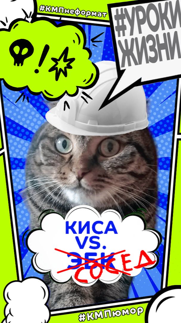 Киса, крыша, снегозадержатели и сосед. Что могло пойти не так?