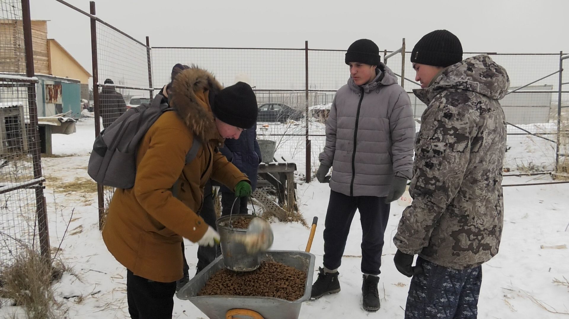 "Мы за них ответственны": В Хакасии волонтёры помогают сгоревшему приюту