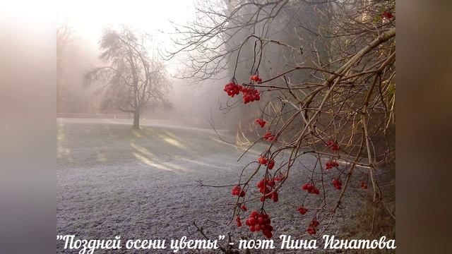 "Поздней осени цветы" - поэт Нина Игнатова