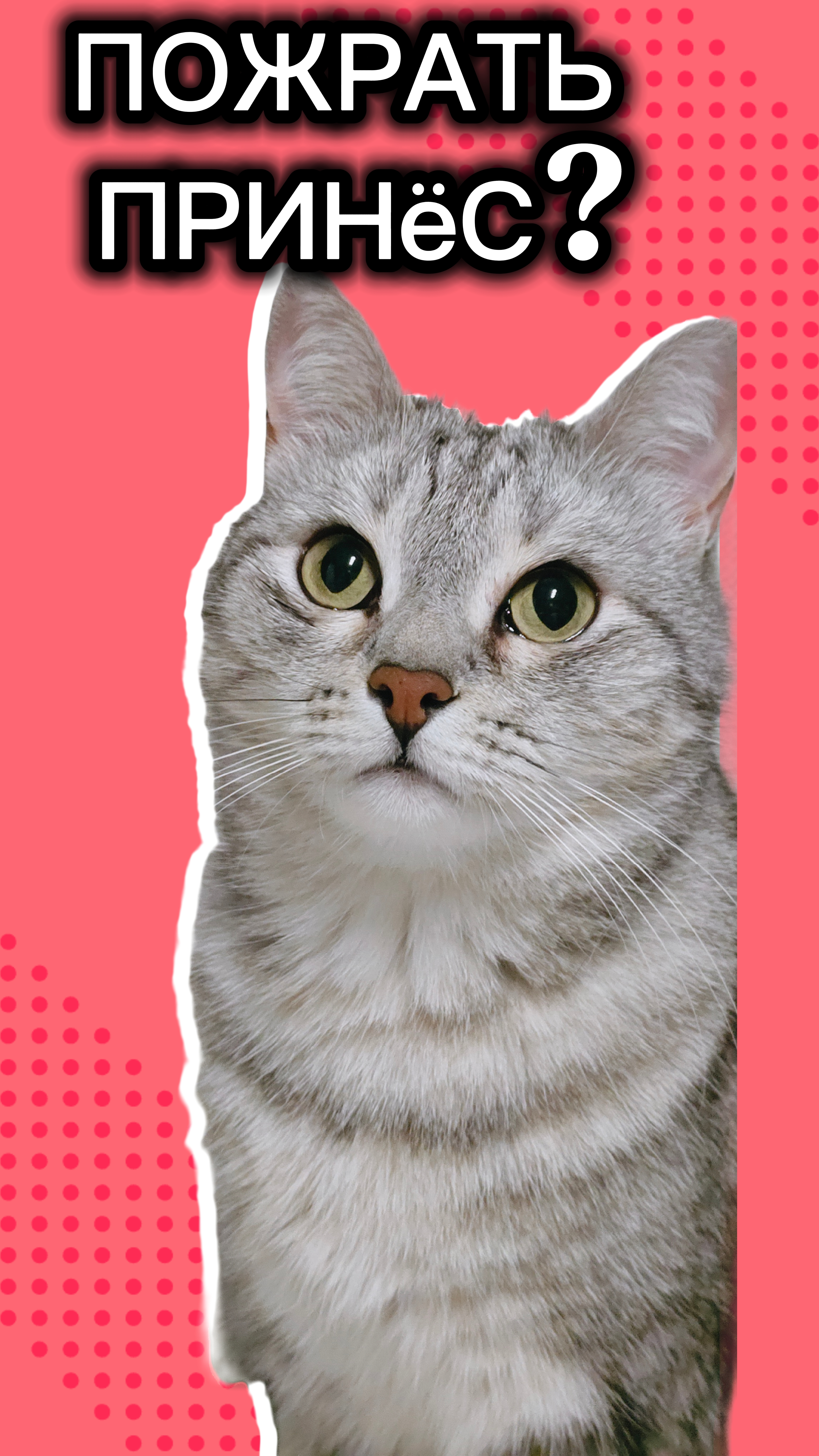 Этот взгляд скажет больше тысячи слов