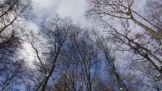 Мороз рисует на окнах