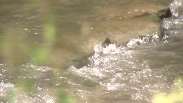 6. ОМЕЛЬЧУК А.К. | ИМЯ ДЛЯ ПРИНЦЕССЫ