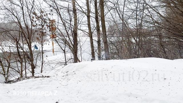 В 250 Петарда Z