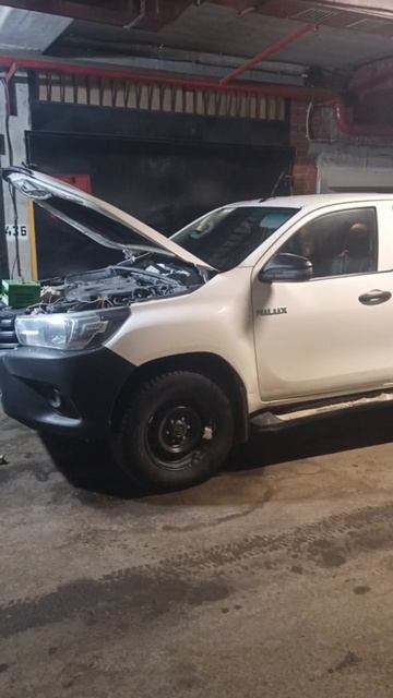 Тойота Хайлюкс - удаление сажевого фильтра и ЕГР в Перми.