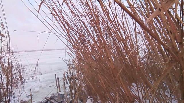 Зимний пейзаж с замерзшим водоемом VID_20260128_164731