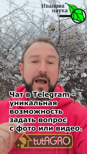 ЛЮБОЕ ДЕРЕВО ПОКРОЕТСЯ ПЛОДАМИ, ЕСЛИ УДАЛИТЬ ЭТИ ВЕТКИ! Вырезаем этих паразитов с корнем!