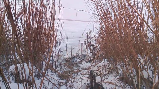 Зимний пейзаж с замерзшим водоемом VID_20260128_164706