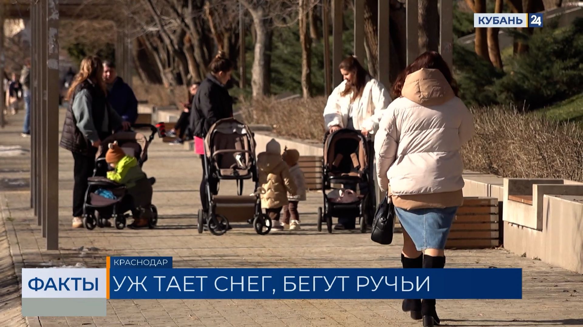 ФАКТЫ. Выпуск от 29.01.26