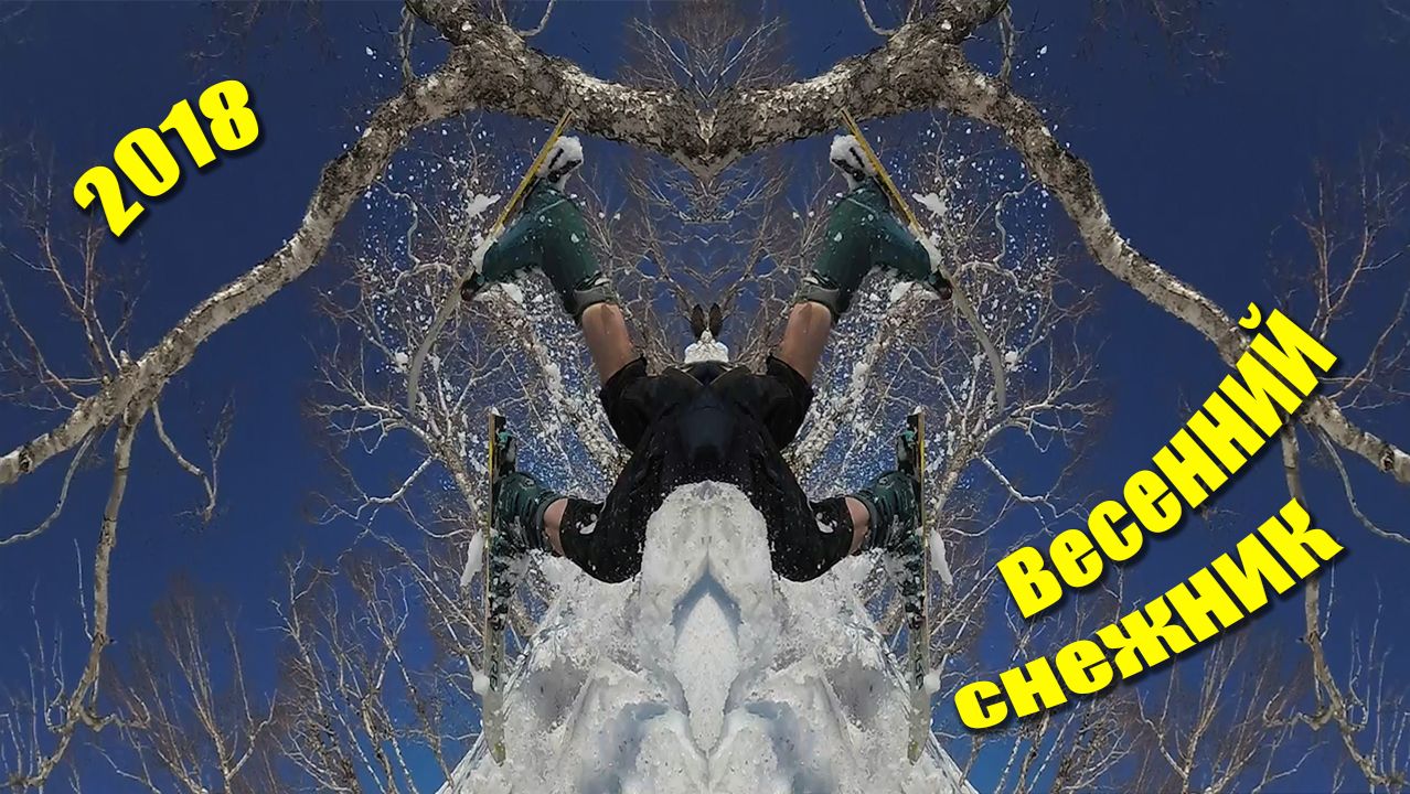 Весенний снежник - 2018