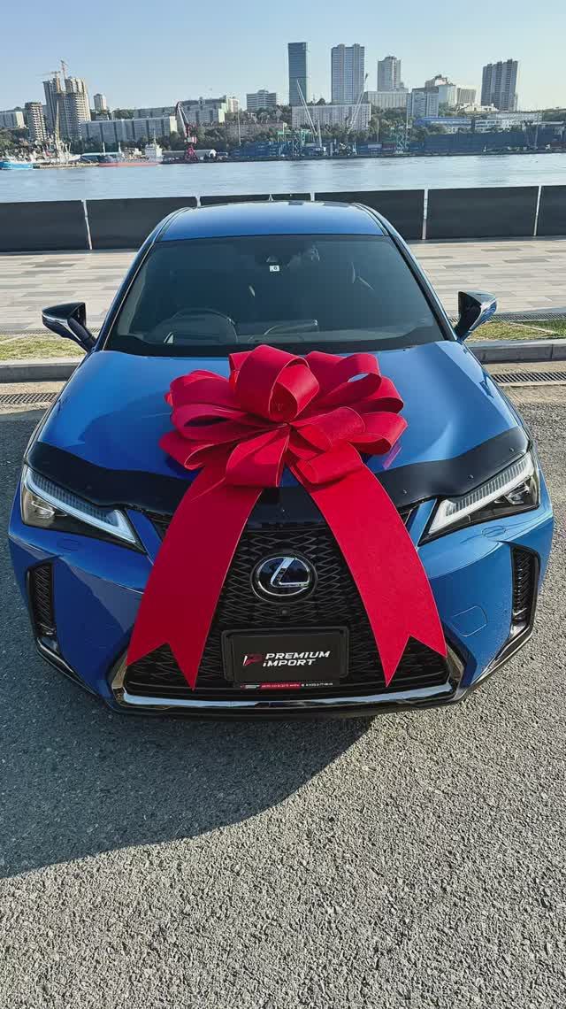 Ещё один счастливый клиент-Константин из Иркутска! LEXUS UX250h, HYBRID, 4WD, F SPORT. Аукцион: 4,5