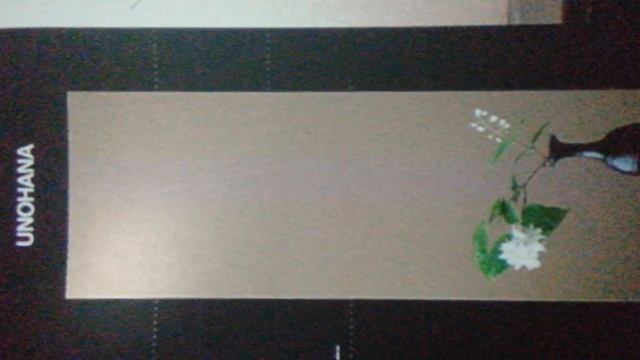 Павильон Японии, Дубай Экспо