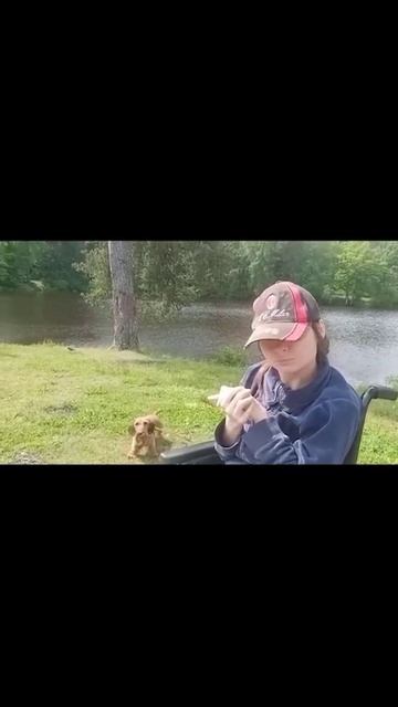 луговой парк.