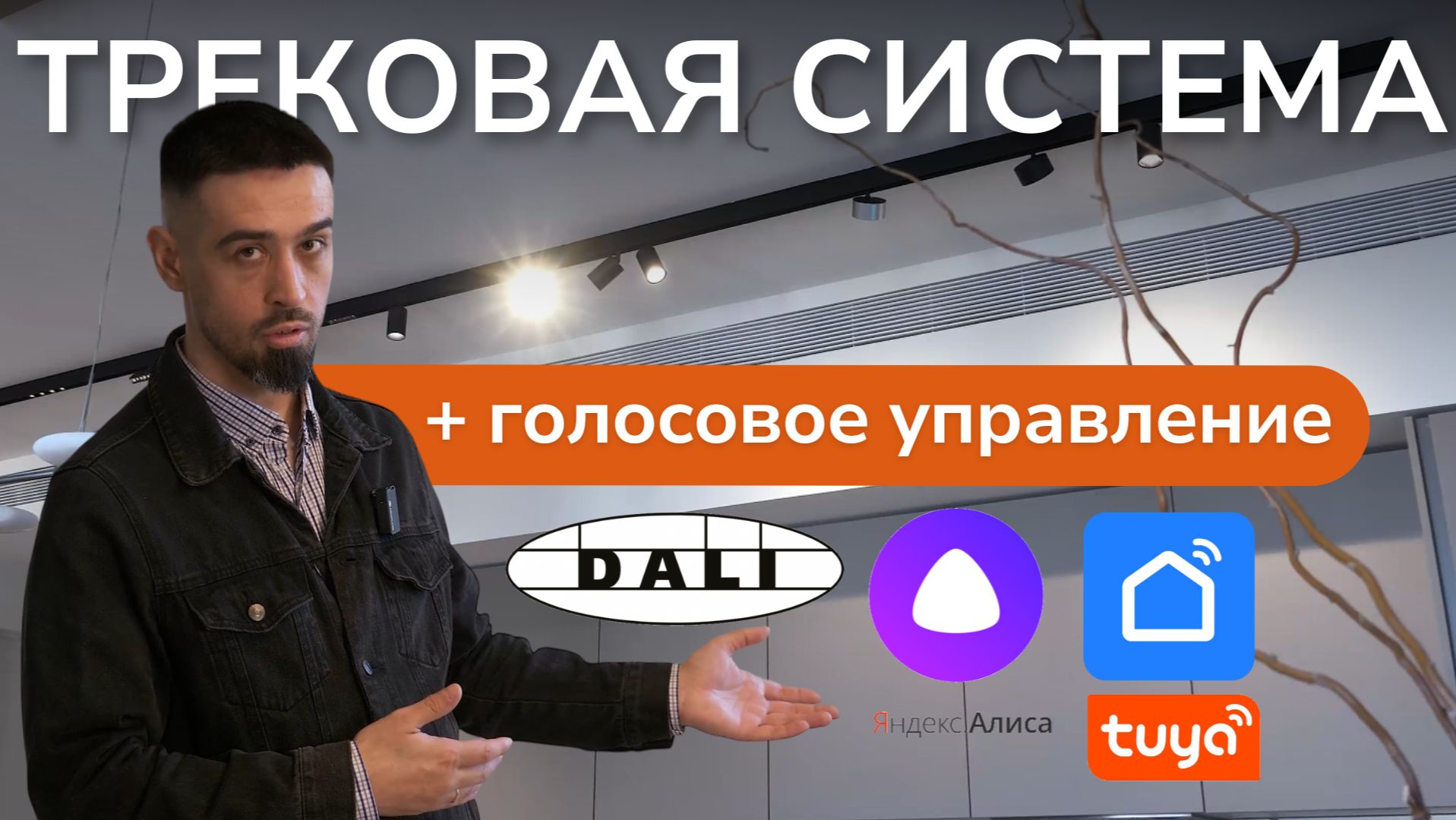 Управляем голосом магнитной трековой системой освещения SY Link от SWG. Алиса (Tuya Zigbee или Dali)