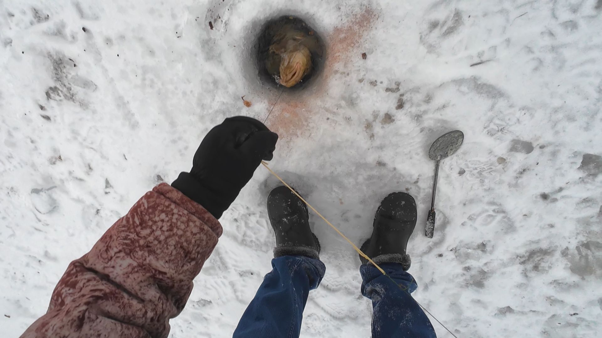 Проверка крючков на налима после морозов. 30 января 2026