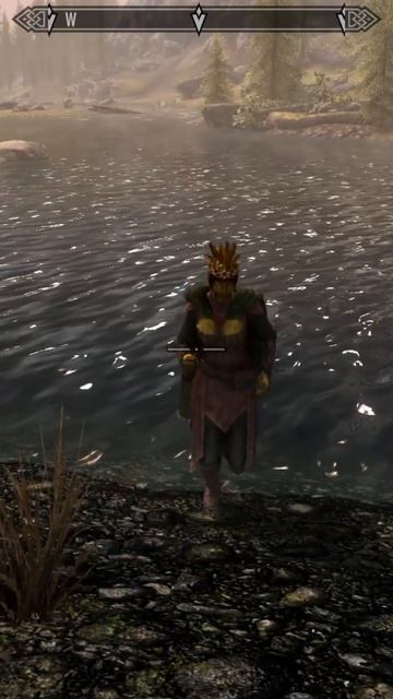 «ЯЩЕРИЦА ВЫШЛА ИЗ ВОДЫ — ДОМОЙ ХОДИЛ?» 😂 Классика аргонианок в Skyrim