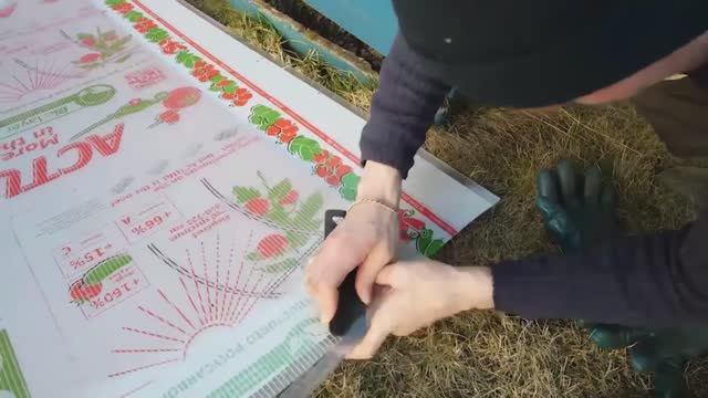 Сотовый поликарбонат Актуаль!Био: «Теплица на радость»