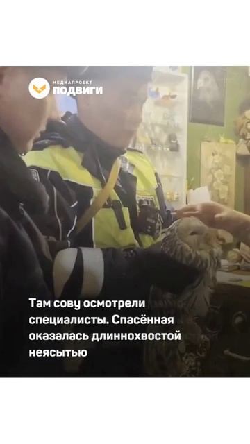 В Иркутской области сотрудники полиции помогли раненой сове