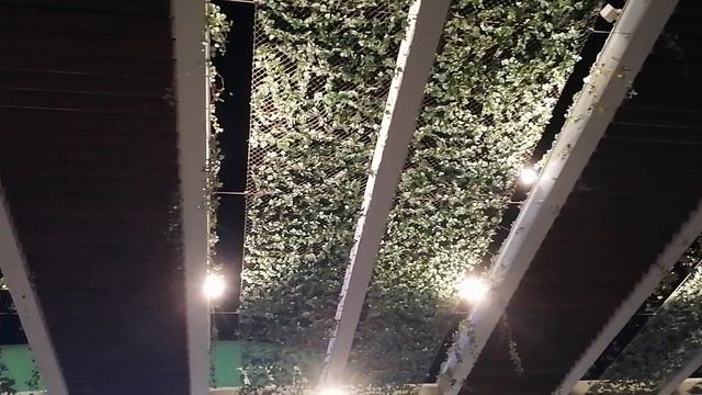 Атмосфера, Дубай Экспо, 2021 год