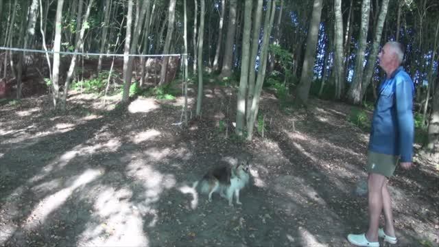 2024 Истринское в-ще. 5.09.2024 1