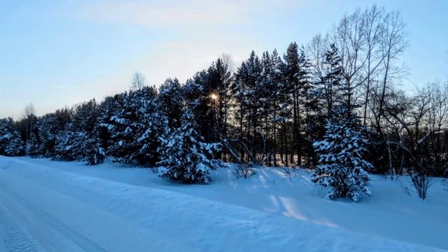 Величавая тайга(песня на мои стихи)Музыка и исполнение Виктор Бекк