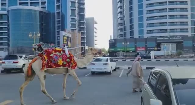 На работу со своим унитазом и оборудованием