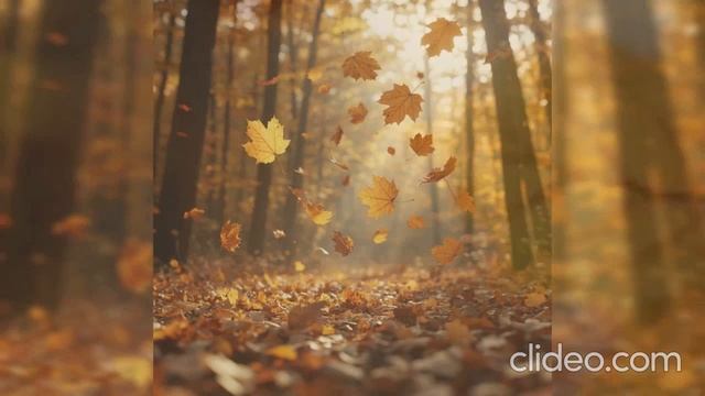 Приехал... (написано давно, посвящено Торе, а сейчас и его брату Торику, недавно ушедшему от нас)