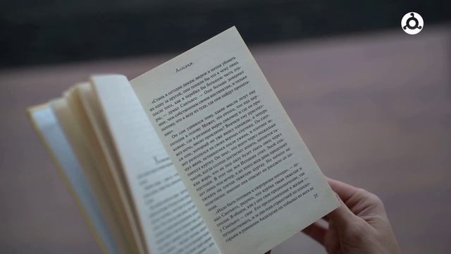 Pro книги. Пауло Коэльо «Алхимик».