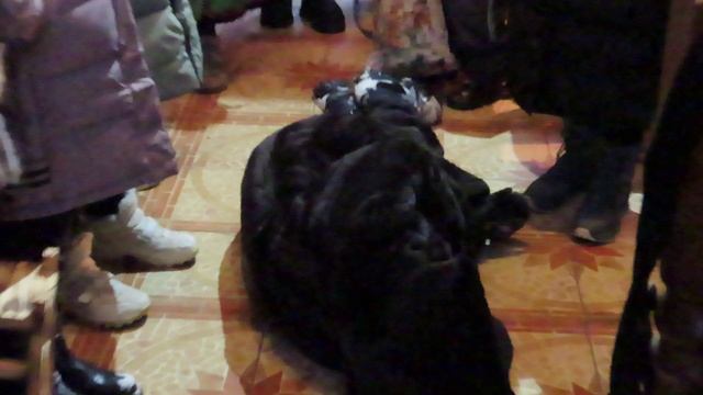 2. Рождество в Межстоличьи / Колядки /Козёл /