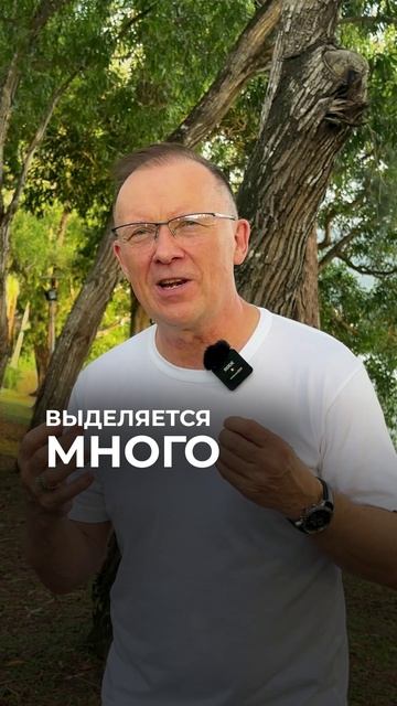 Ловушка мышления