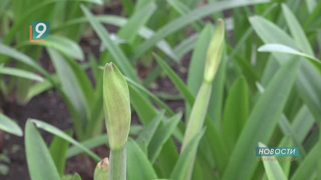 В тепле и заботе: сотрудники "Зеленстроя" готовятся к весеннему сезону