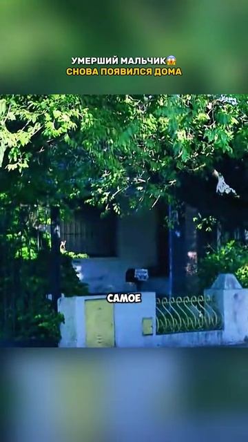 Краткий пересказ фильма