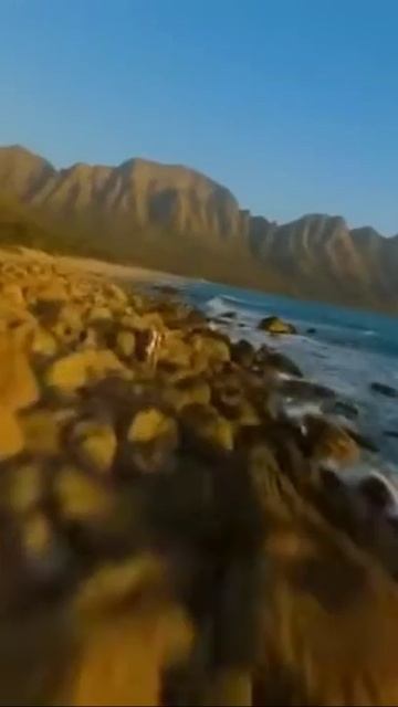 БЛАГОЕ СОСТОЯНИЕ УМА